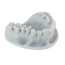 KeyOrthoModel 3D Resin | Keystone Industries