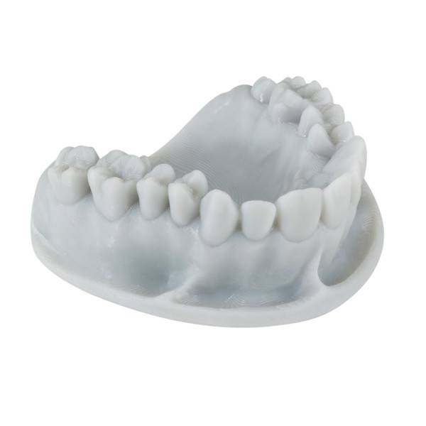 KeyOrthoModel 3D Resin | Keystone Industries